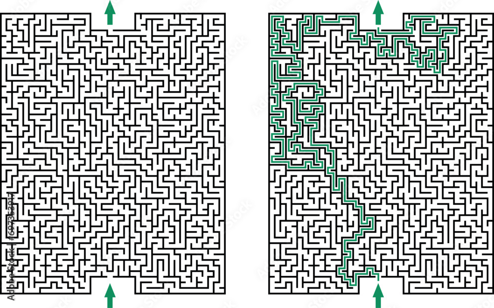 Vector rectangular labyrinth with entry and exit. Difficulty level - hard. Maze with solution ...