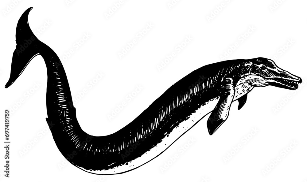 Basilosaurus - vector illustration of extinct animal Stock Vector ...