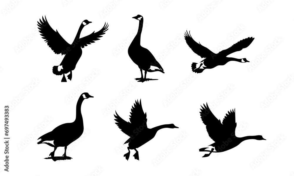 GOOSE silhouette set different poses and actions Stock Vector | Adobe Stock