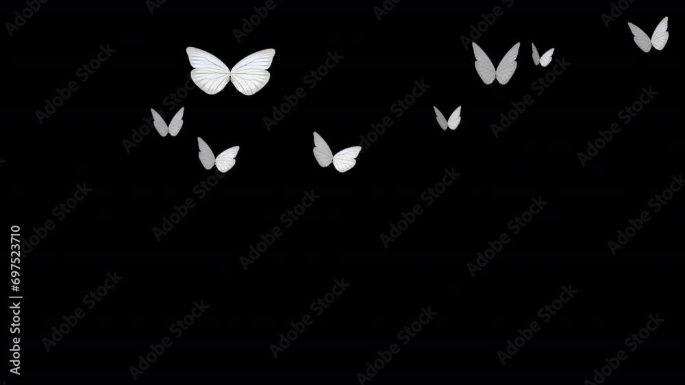 White Butterflies - Swarm of 14 Flying Over Screen - Realistic 3D ...