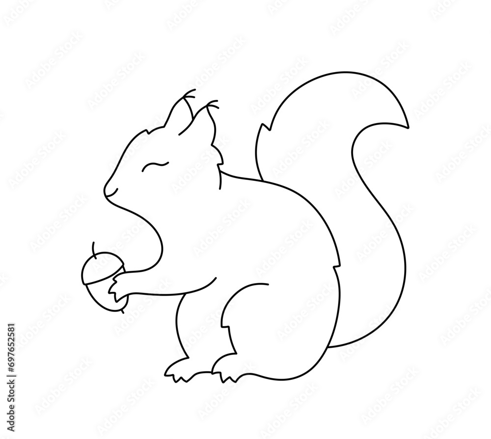 Vector isolated one single squirrel with acorn in paws side view ...