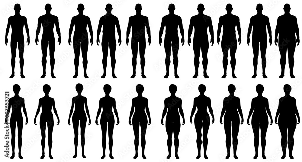 collection of silhouette male and female body type with different body ...