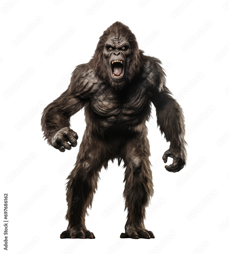 dark fur mystery sasquatch. Isolated transparent background. ape ...