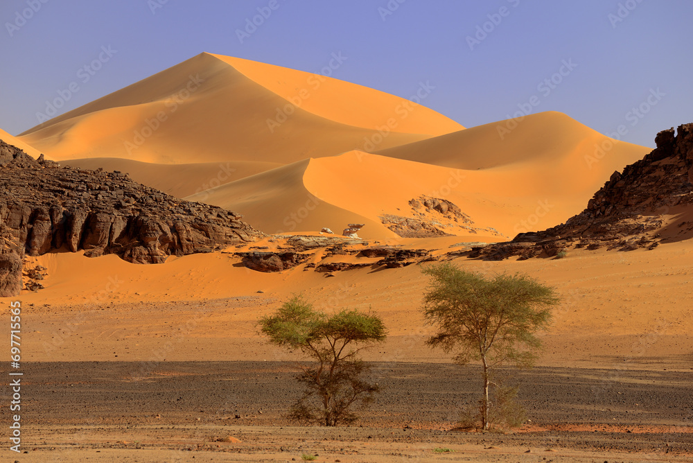 SAND DUNES AND ROCK FORMATIONS IN THE REGION OF TADRART ROUGE IN THE ...