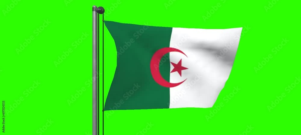 algeria flag with pole, Algeria flag waving green screen, Algeria on ...