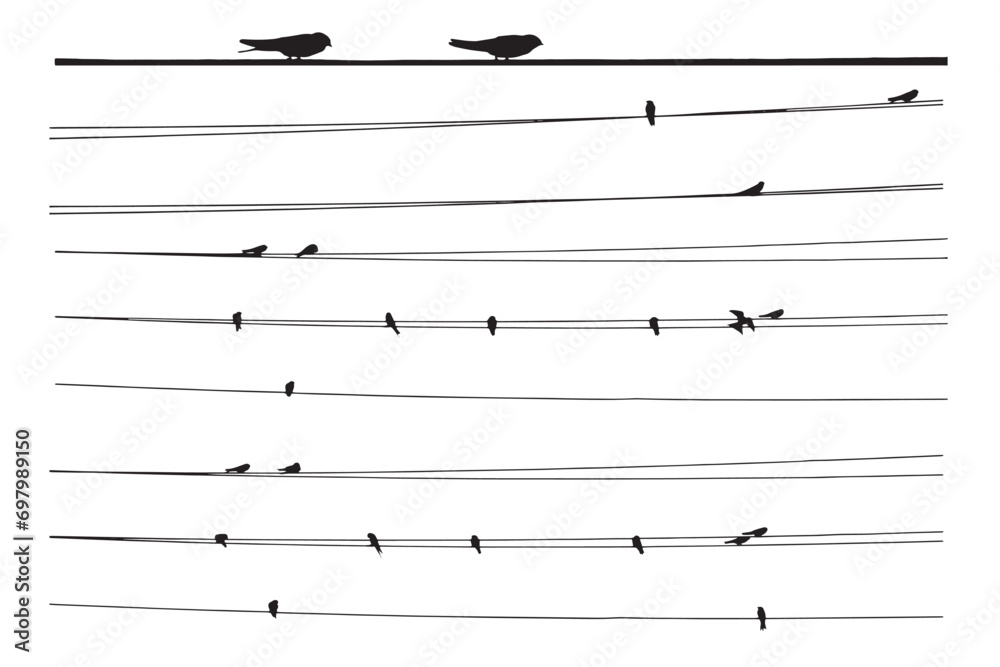Birds on electric wire. Vector images. Stock Vector | Adobe Stock