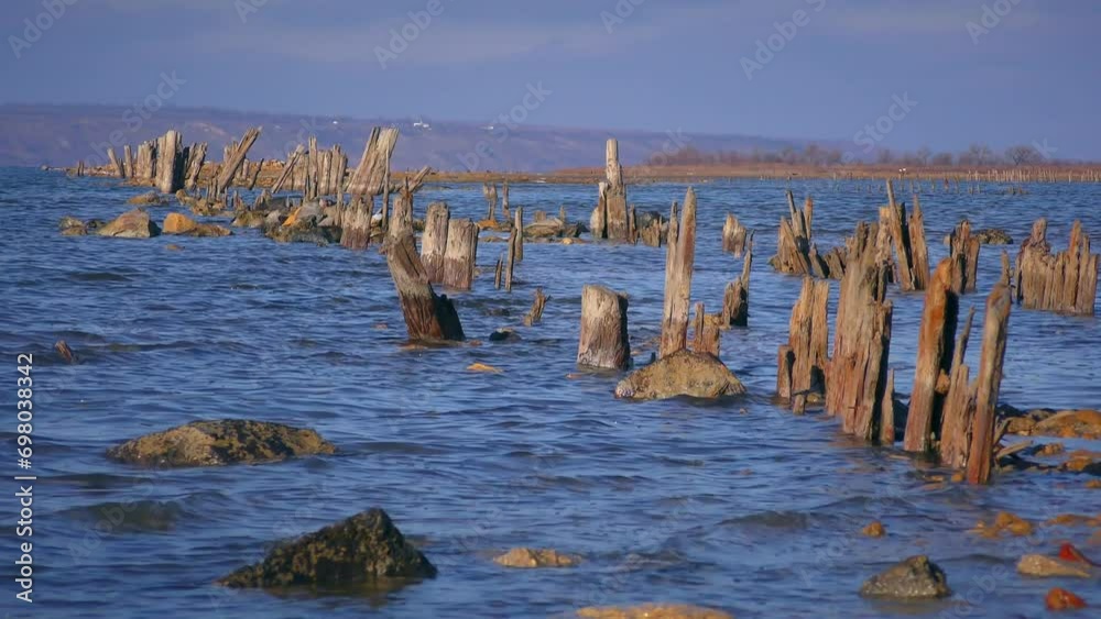 Once the modern Black Sea estuaries were freshwater, as the river flow ...