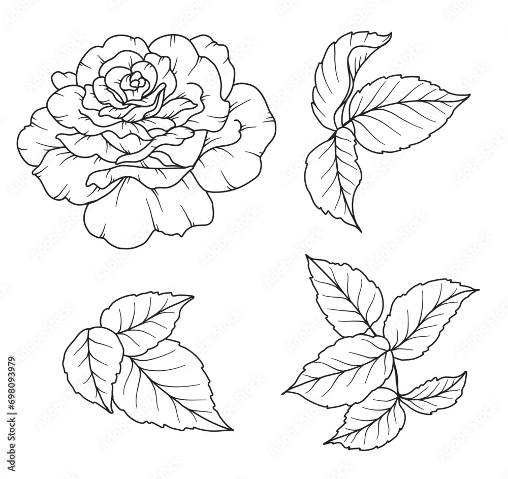 Rose Line Drawing. Black and white Floral Bouquets. Flower Coloring ...