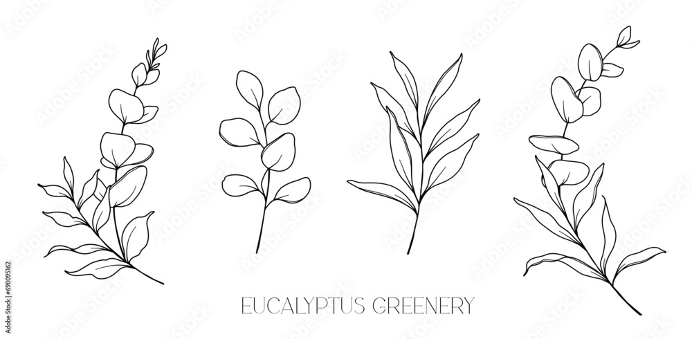 Eucalyptus Line Drawing. Black and white Floral Bouquets. Flower ...