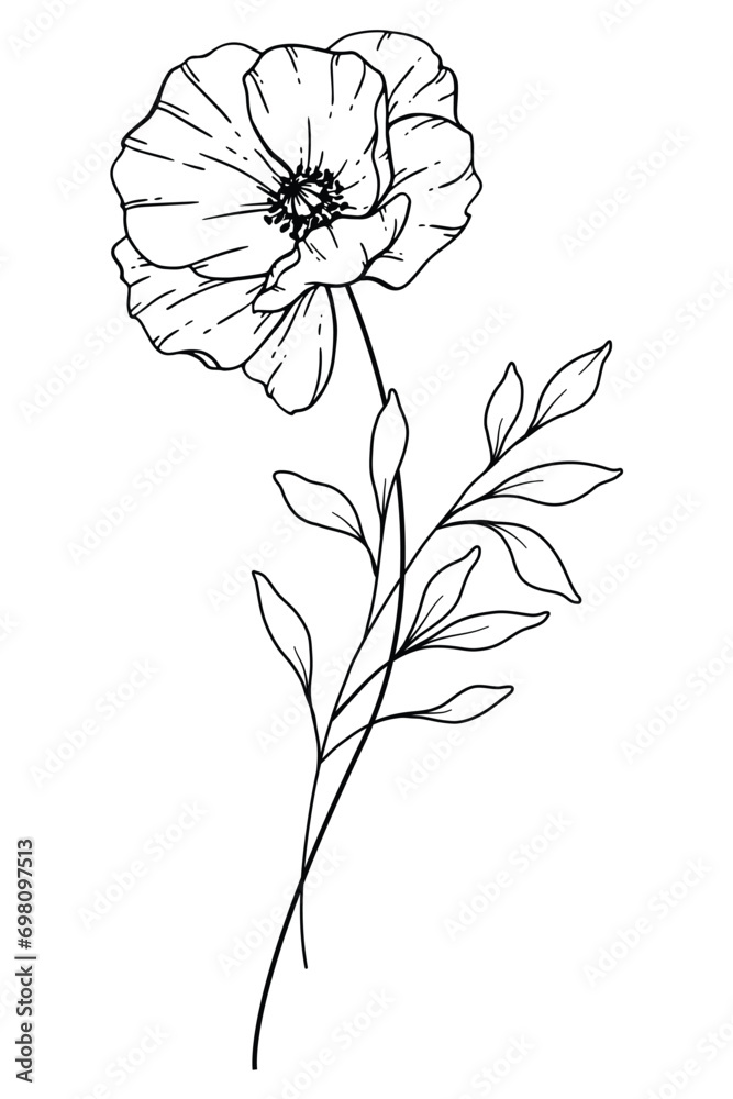 Poppy Line Art. Poppy outline Illustration. August Birth Month Flower ...