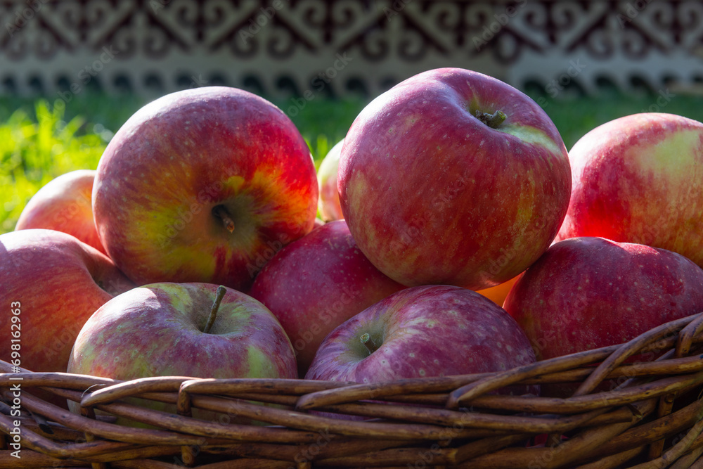 Aport is one of the largest and most valuable varieties of apples. The ...