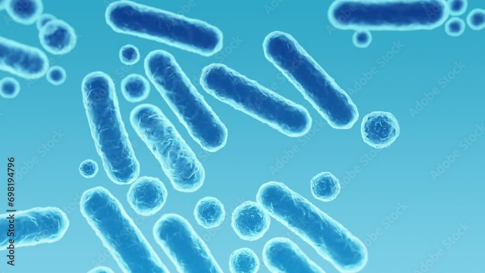 Enterobacteriaceae, gram-negative rod-shaped bacteria, part of ...