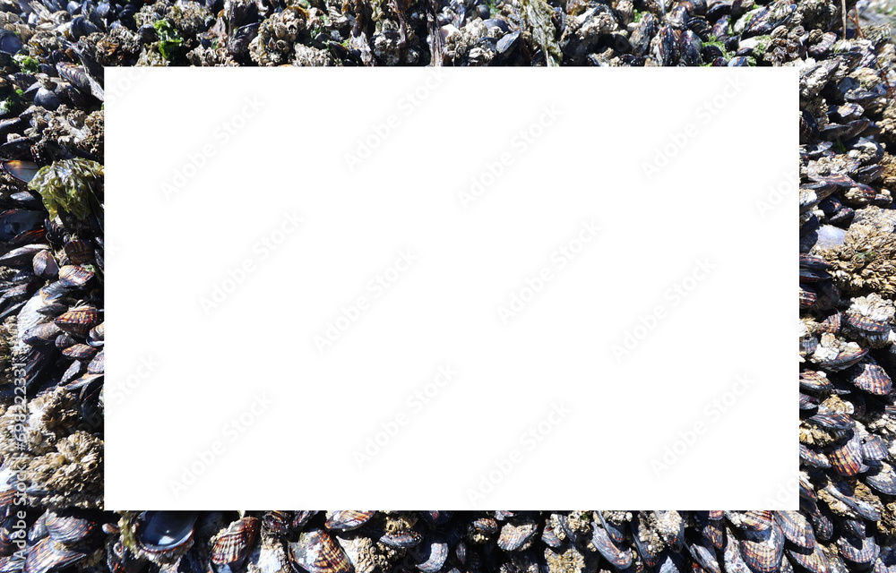 picture frames made from photos of water and sea elements including ...