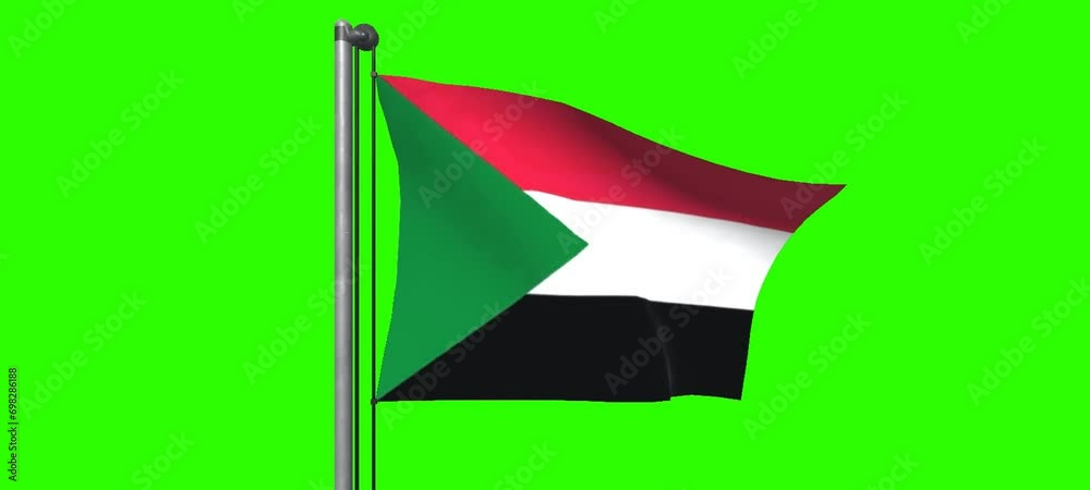 Vidéo Stock palestine flag with pole, palestine flag waving green ...