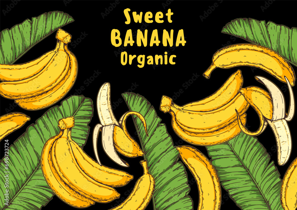 Ripe banana frame. Hand drawn vector illustration. Tropical fruit ...