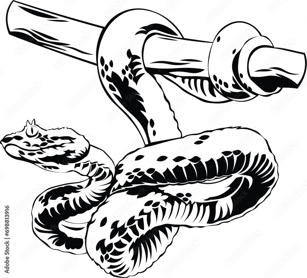 Cartoon Black and White Isolated Illustration Vector Of A Snake Wrapped ...