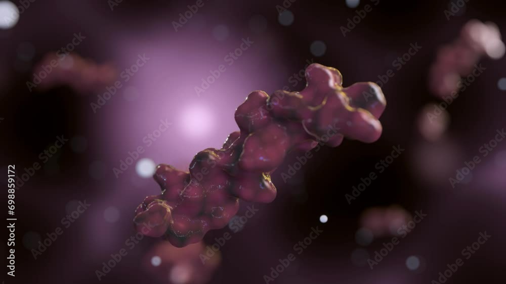 Vidéo Stock This 3D animation illustrates glucagon, a peptide hormone ...