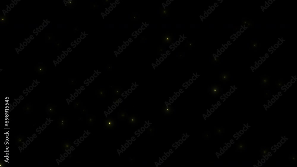 Fireflies Animation. Fireflies Background Animation. Fireflies Loop ...
