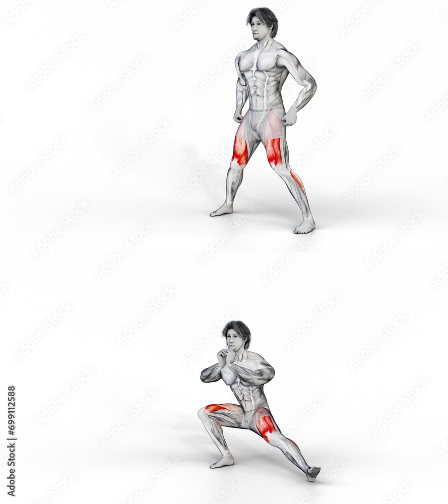 184 Cossack Squats. 3D Anatomy of fitness and bodybuilding. An ...