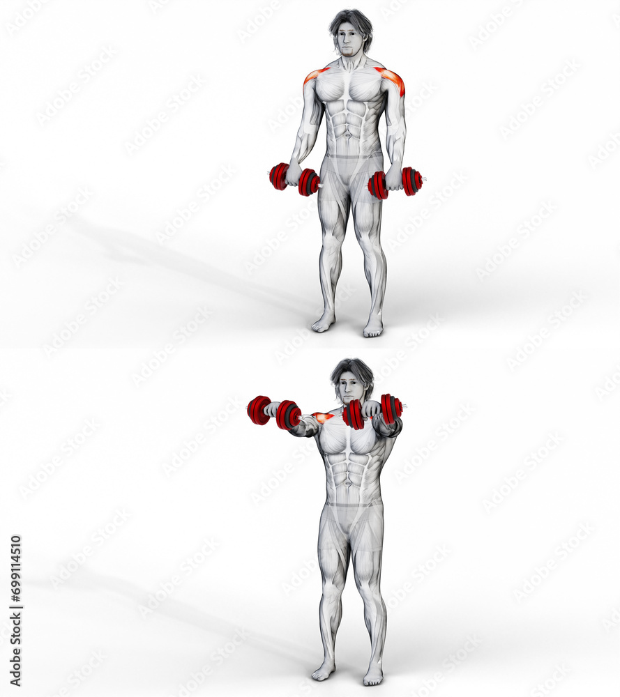 226 Shoulders- Dumbbell Front Raise. 3D Anatomy of fitness and ...