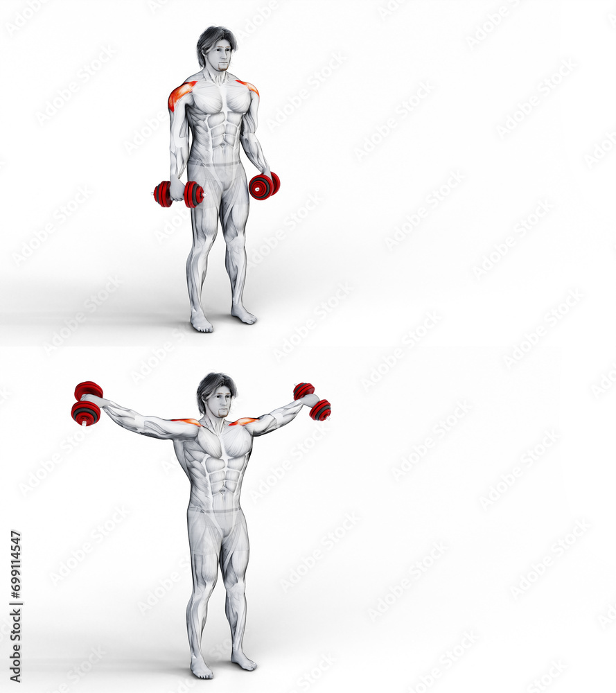 225 Shoulders- Dumbbell Lateral Raise. 3D Anatomy of fitness and ...