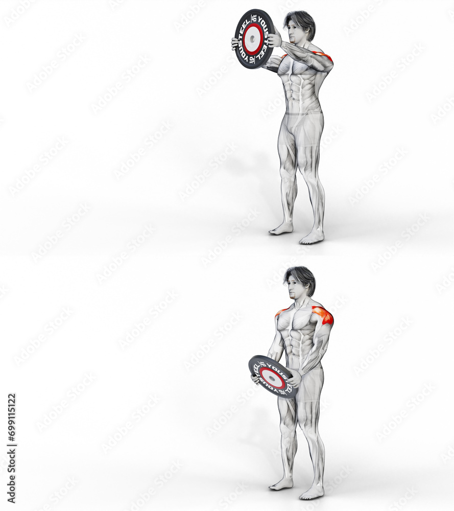 242 Shoulders- Plate Front Raise. 3D Anatomy of fitness and ...