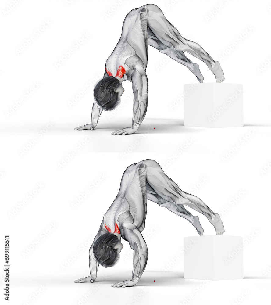 Ilustração do Stock: 258 Traps - BodyWeight- Elevated Pike Shoulder ...