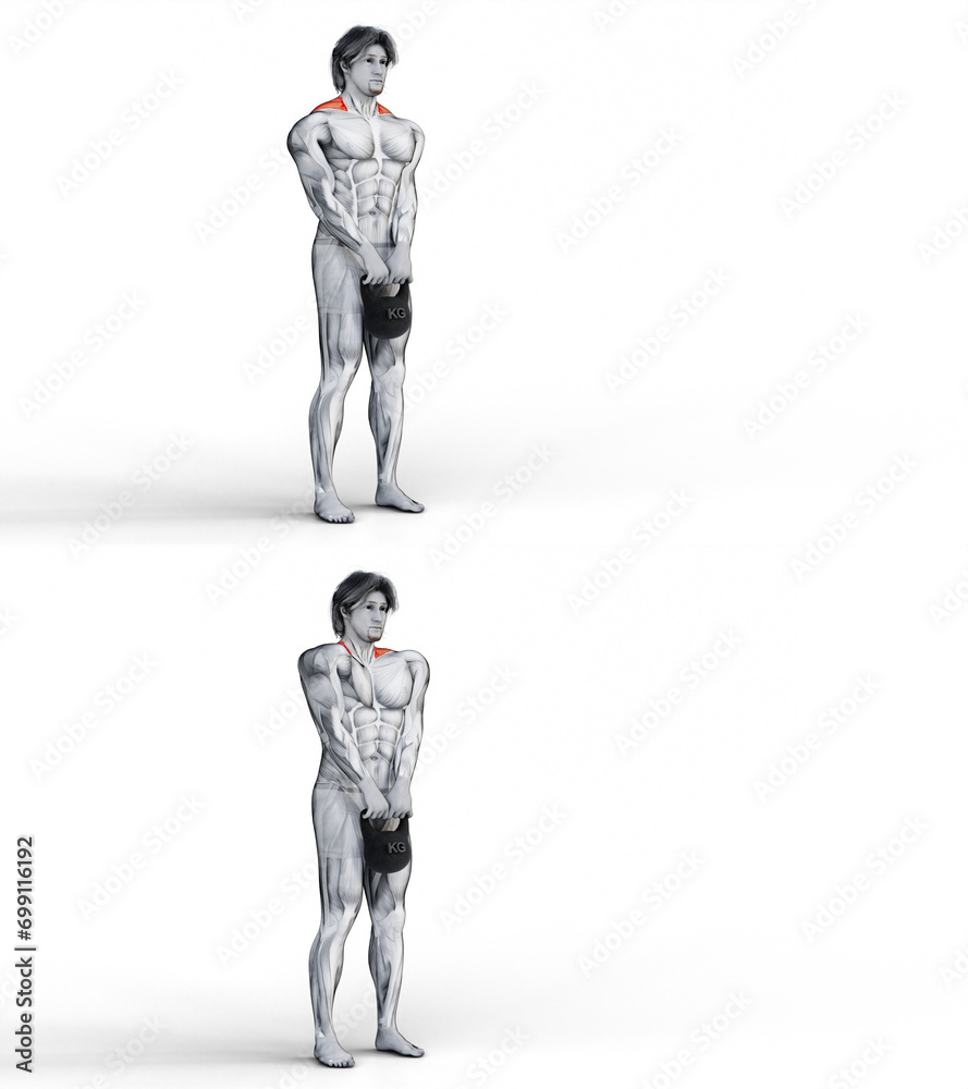 273 Traps - Kettlebell Shrug. 3D Anatomy of fitness and bodybuilding ...