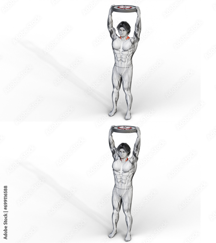 279 Traps - Plate Overhead Shrug. 3D Anatomy of fitness and ...