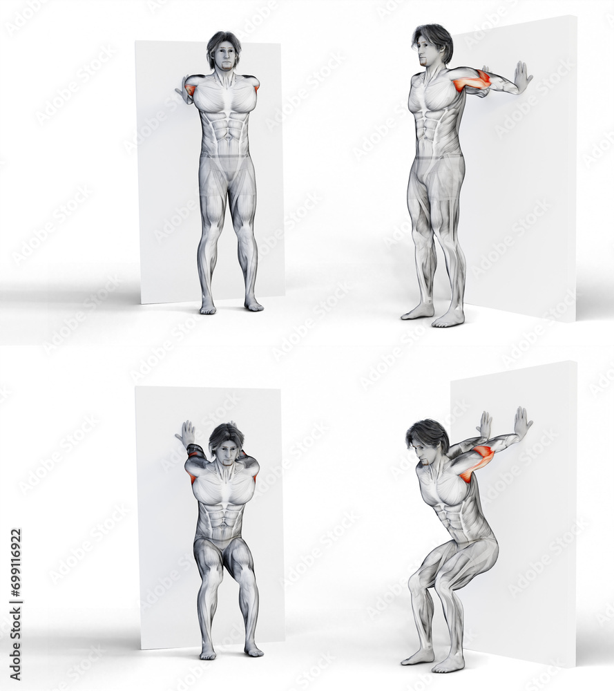 288 Biceps Stretch Variation Four. 3D Anatomy of fitness and ...