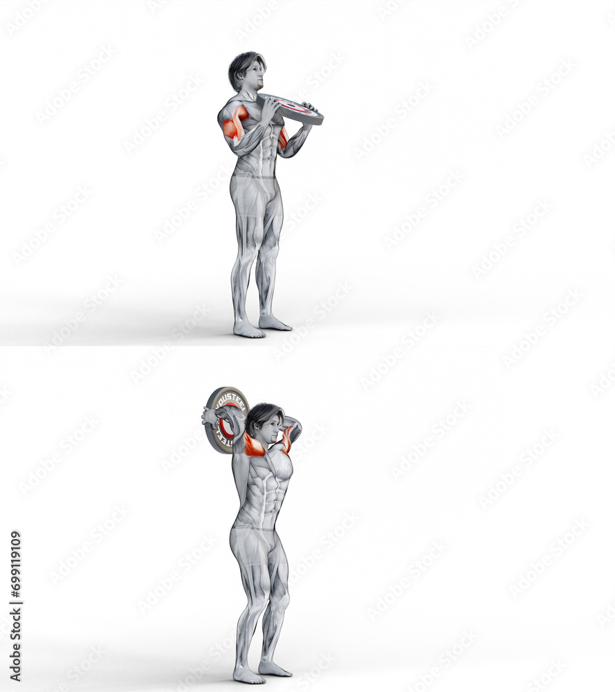 316 Biceps- Plate Curl To Overhead Press To Tricep Extension. 3D ...
