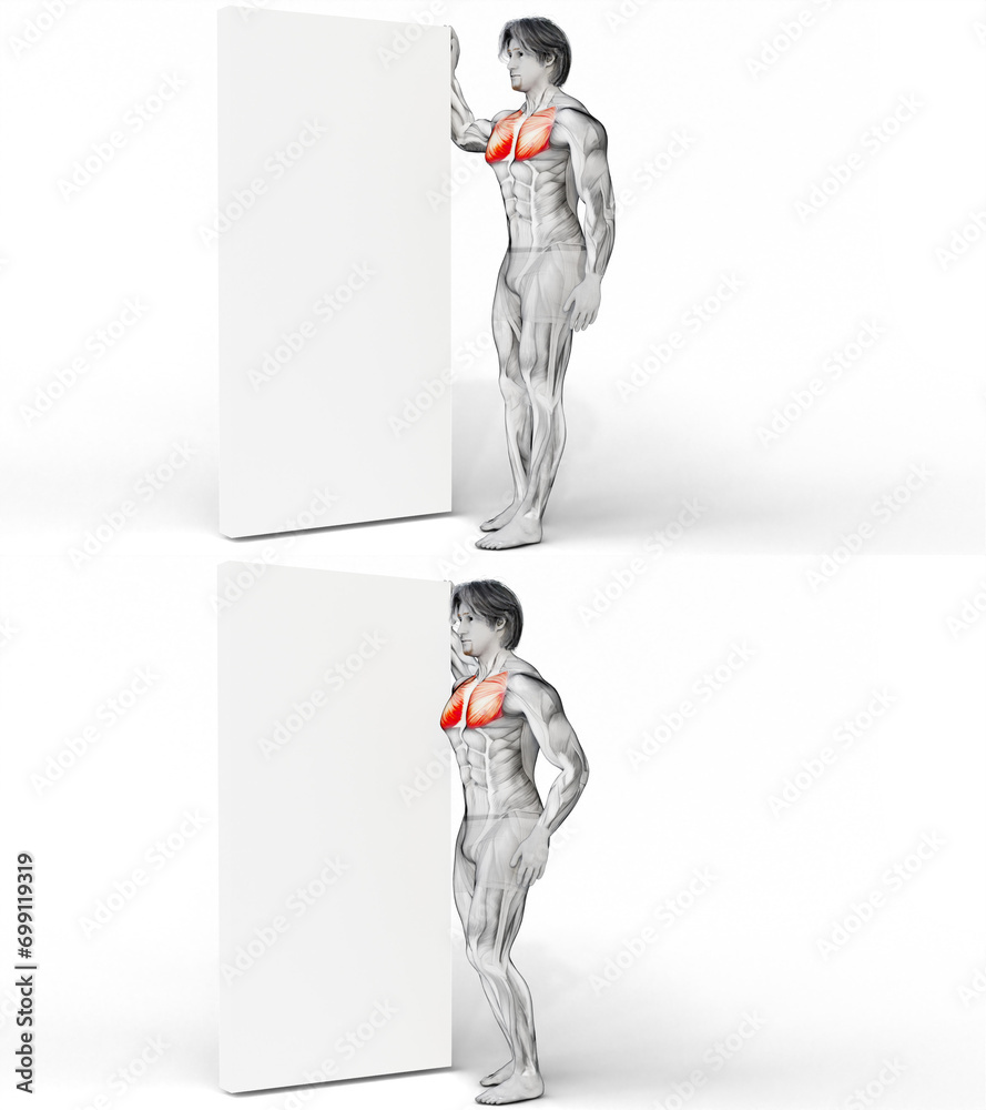 328 Chest Stretch Variation One. 3D Anatomy of fitness and bodybuilding ...