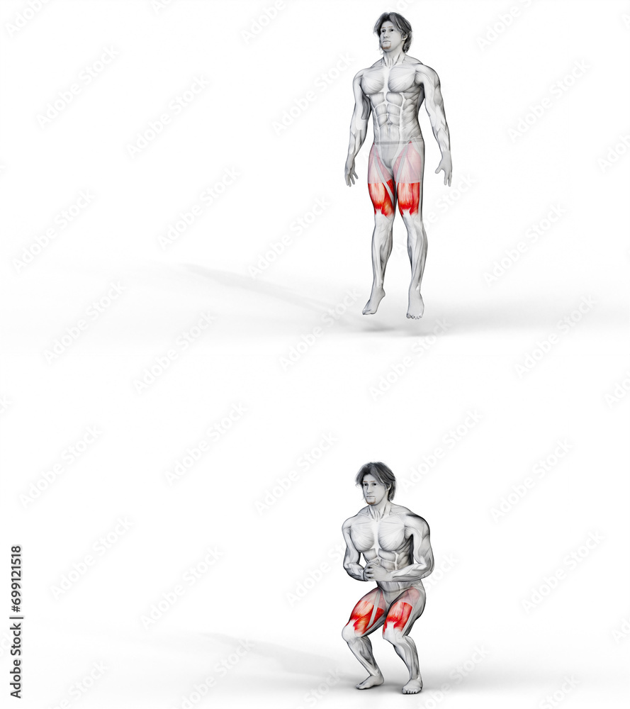 390 Quads- Bodyweight-Jump Squats. 3D Anatomy of fitness and ...
