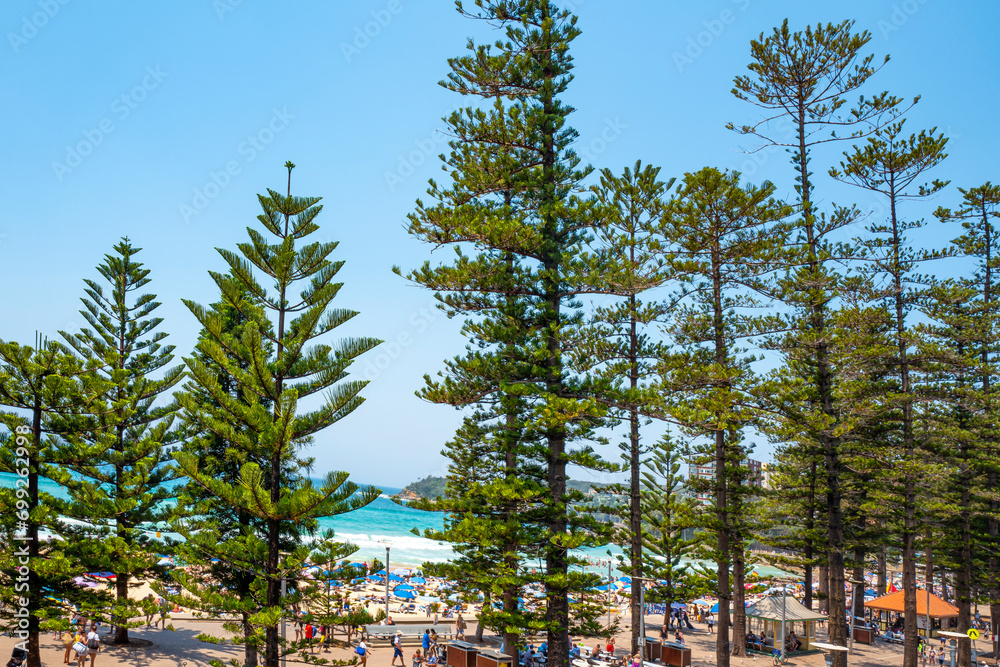 Manly Beach, with its tree-lined promenade and long stretch of fine ...