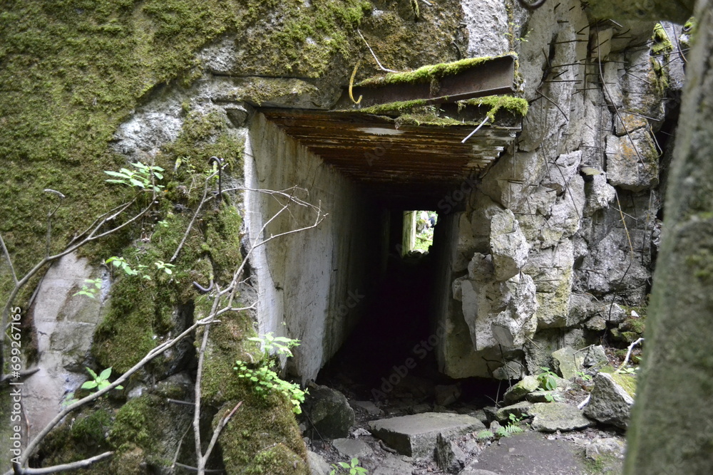 Wilczy Szaniec, Była Kwatera Wojenna Adolfa Hitlera, Kompleks bunkrów w ...