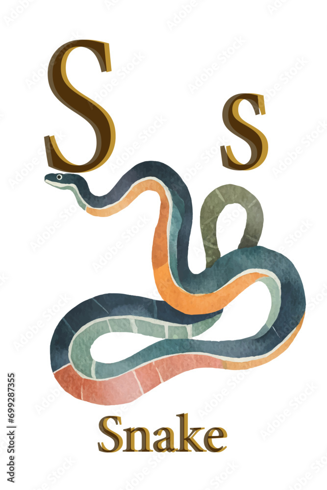 printable animal alphabet card vector graphic resources, letter S / s ...