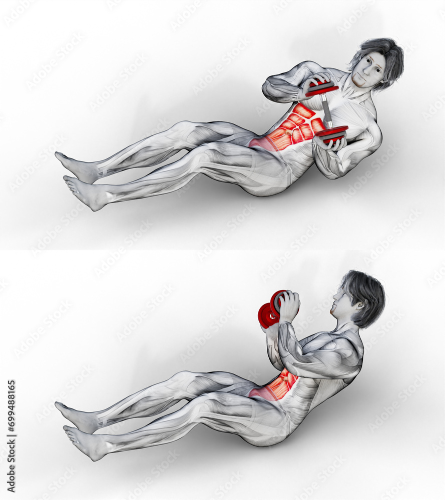 489 Abdominals-Dumbbell Russian Twist. 3D Anatomy of fitness and ...