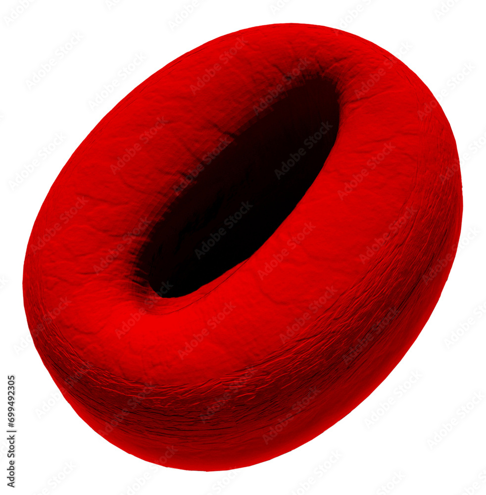 Stomatocyte abnormal red blood cell, illustration Stock Illustration ...