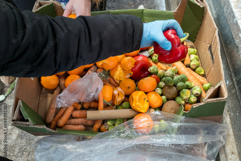 Dirty boxes with rotten tangerines and pepper. Garbage and food waste ...