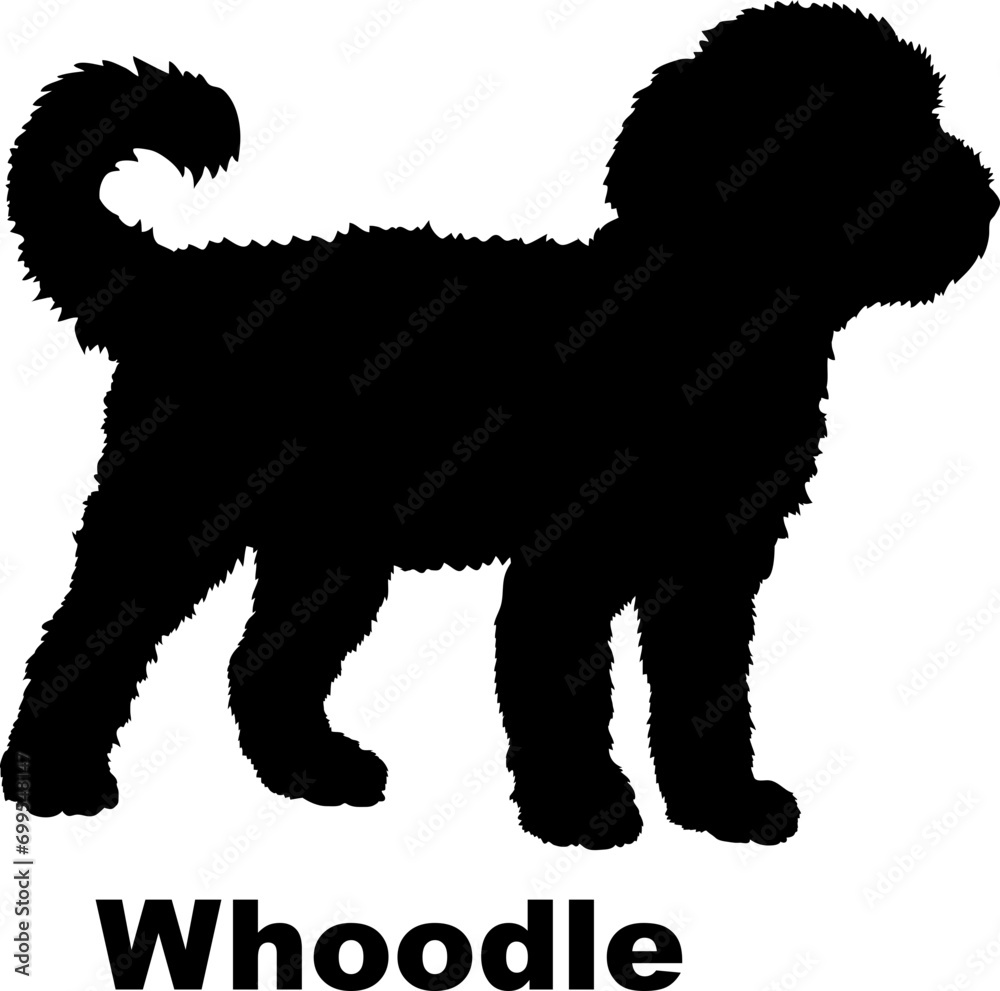 Dog Whoodle silhouette Breeds Bundle Dogs on the move. Dogs in ...