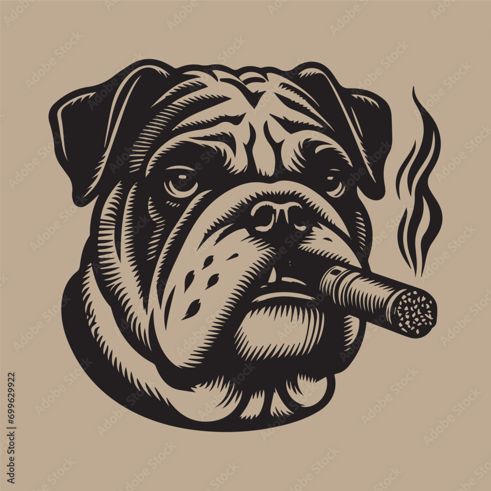 Bulldog smokes a cigar. Beautiful vintage engraving illustration ...