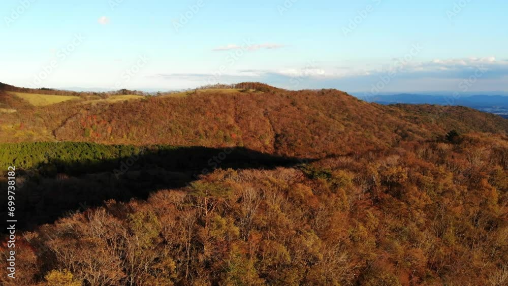 Autumn deciduous forest in hills of Nikko, aerial view of Japan nature ...