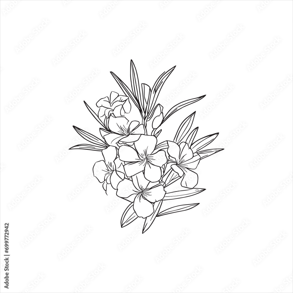 Decorative abstract oleander hand-drawn flower bouquet of line art ...