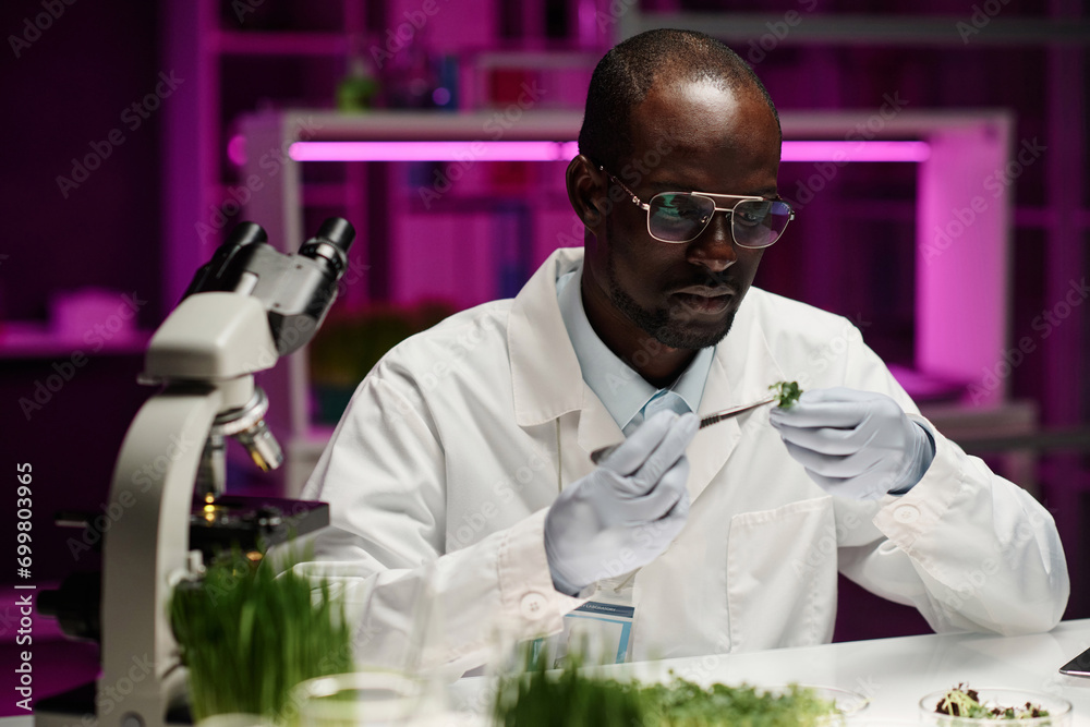 African american researcher holding plant sprout in his hand and ...