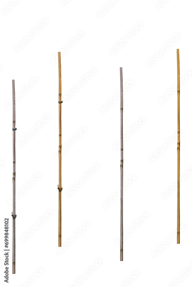 Supports for small trees made of bamboo poles on isolated transparent ...