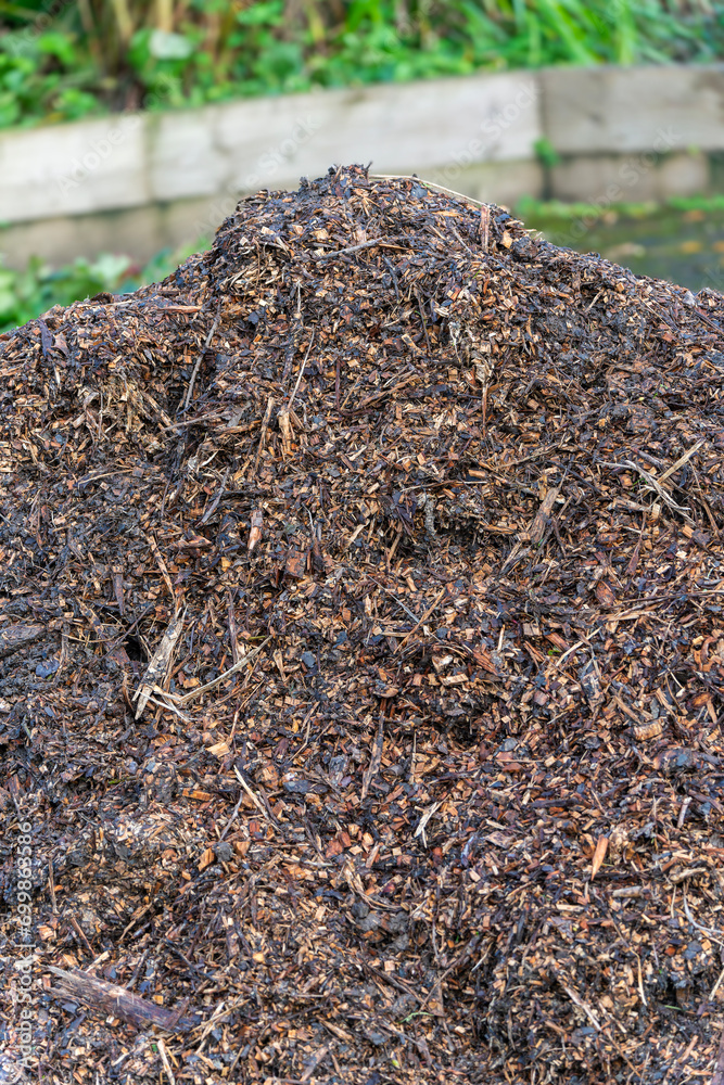 Rotting heap of organic vegetation garden waste to be recycled in the ...