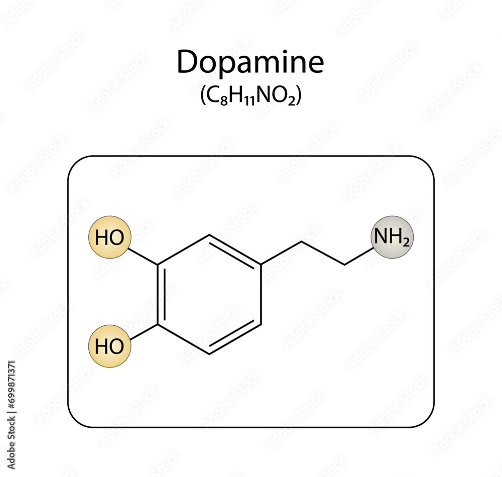 Dopamine structural chemical formula. Monoamine Neuromodulator. Vector ...