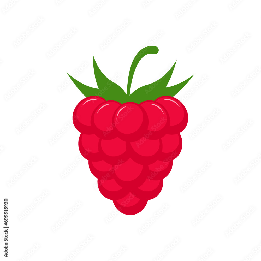 raspberry cartoon vector alphabet R fruit Stock Vector | Adobe Stock