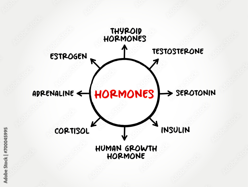 Hormones - your body's chemical messengers, mind map concept background ...