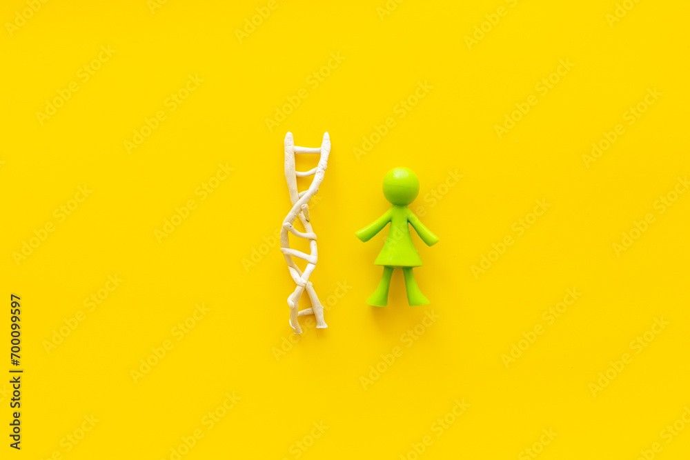 Human rubber figurine and DNA molecule model. Heredity concept Stock ...
